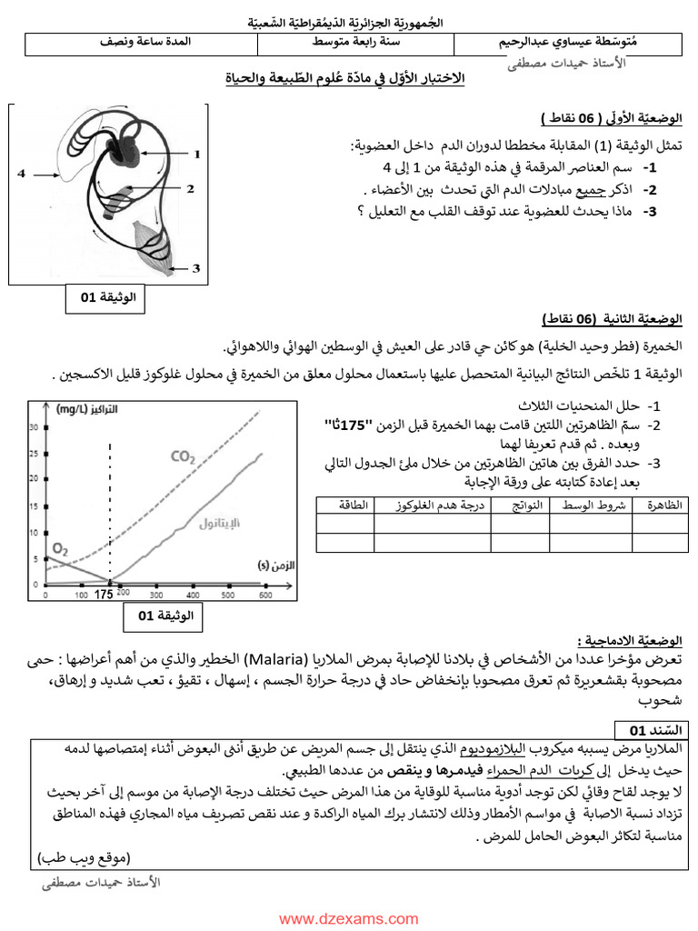 Dzexams 4am Sciences Naturelles 324023 | PDF