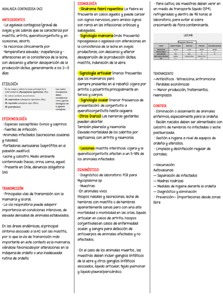 Agalaxia Contagiosa | PDF