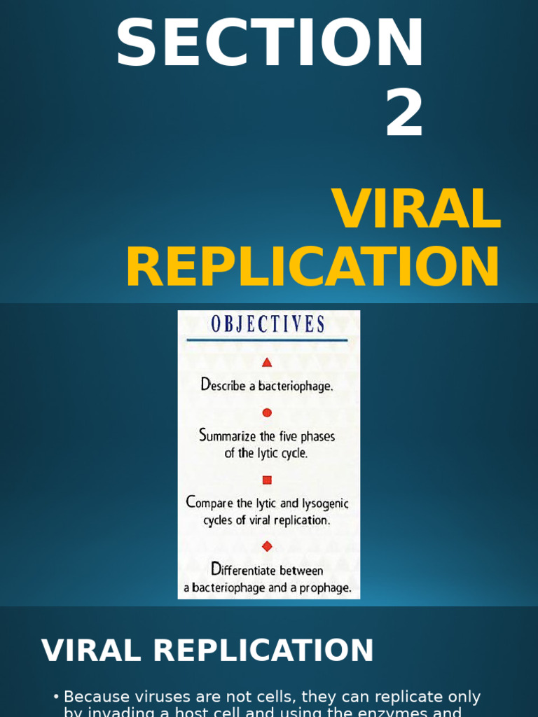 CHAPTER 5 SECTION 2 Bf018497 9ccb 4c11 8d9d 2c2dfaebd939 | PDF | Wellness