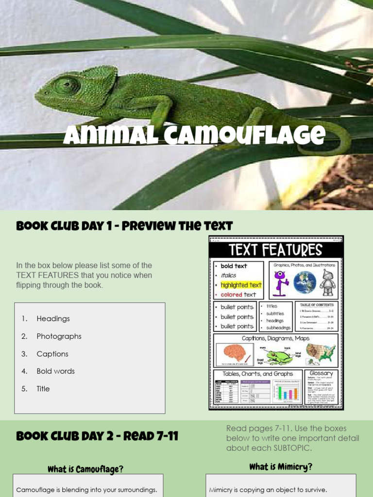 Krish Nayak - Unit 2 Nonfiction - Book Club - Animal Camouflage | PDF ...