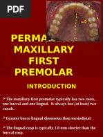 Maxillary 1st Premolar | PDF | Dental Anatomy | Tooth