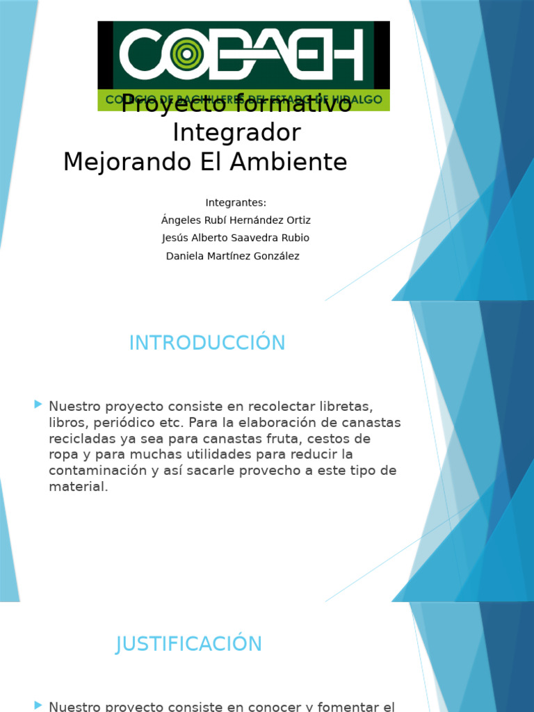 Proyecto Formativo Integrador Equipo 13 | PDF