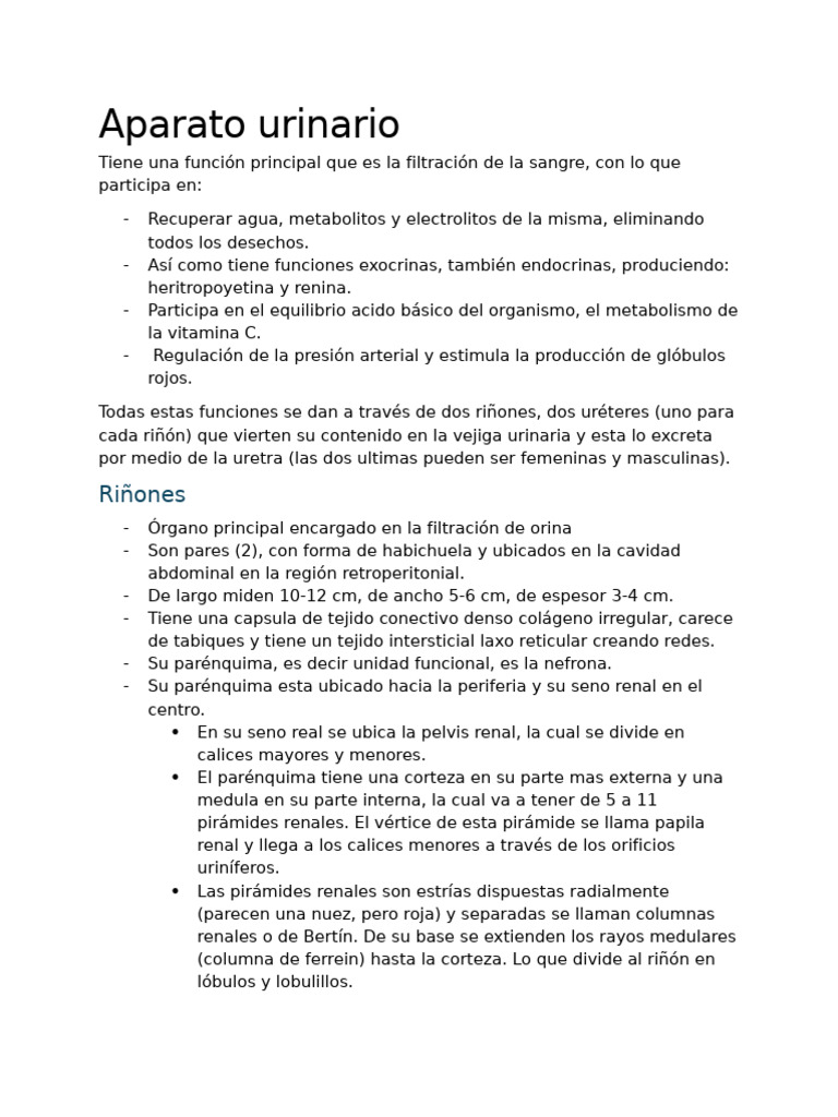 Aparato Urinario | PDF | Riñón | Sistema urinario