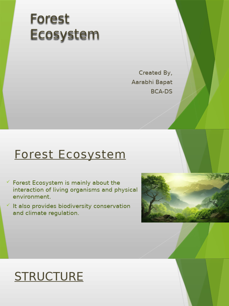 Forest Ecosystem | PDF | Science & Mathematics