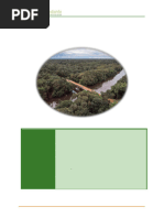 CCB and VCS Project Description Template CCB v3.0 VCS v4.4 | PDF | Natural Environment