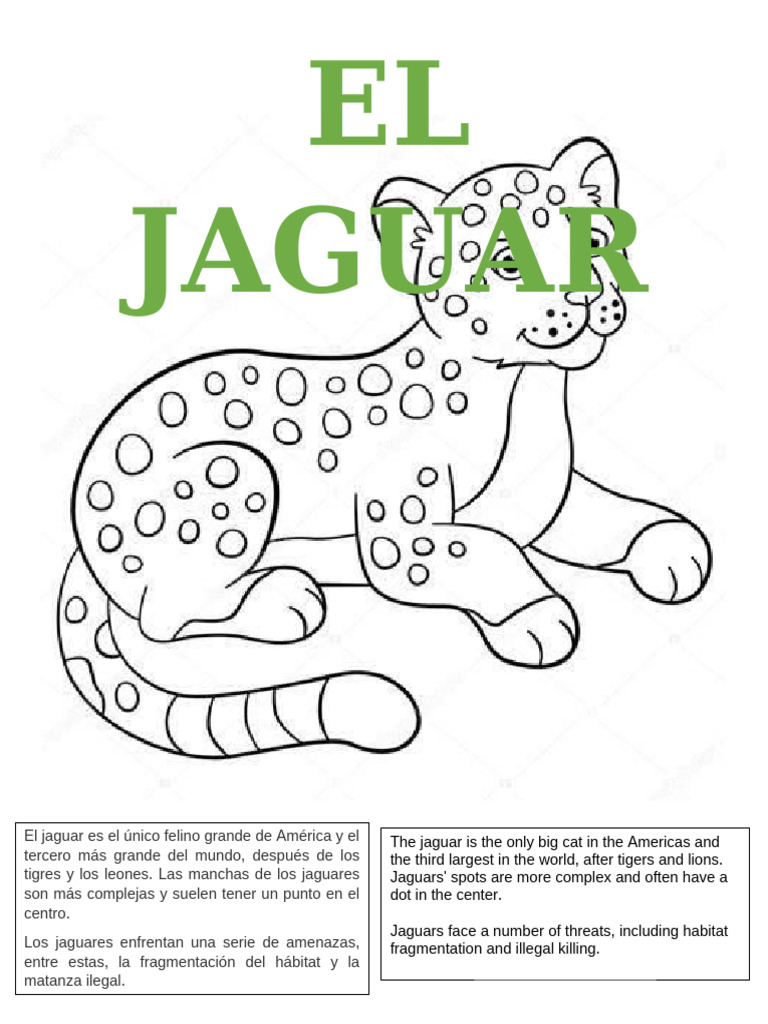 El Jaguar | PDF | Deportes y actividades al aire libre | Hogar ...