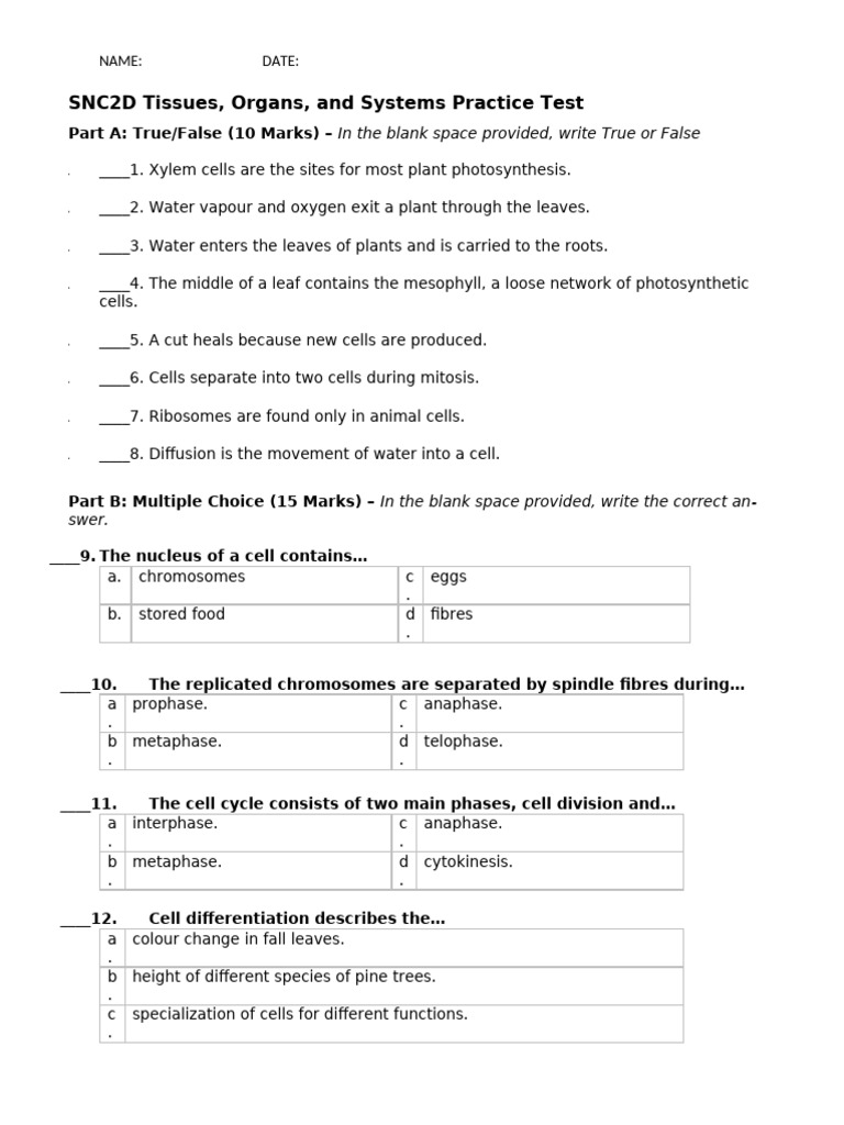 SNC2D Biology PracticeTest | PDF | Mitosis | Morphology (Biology)