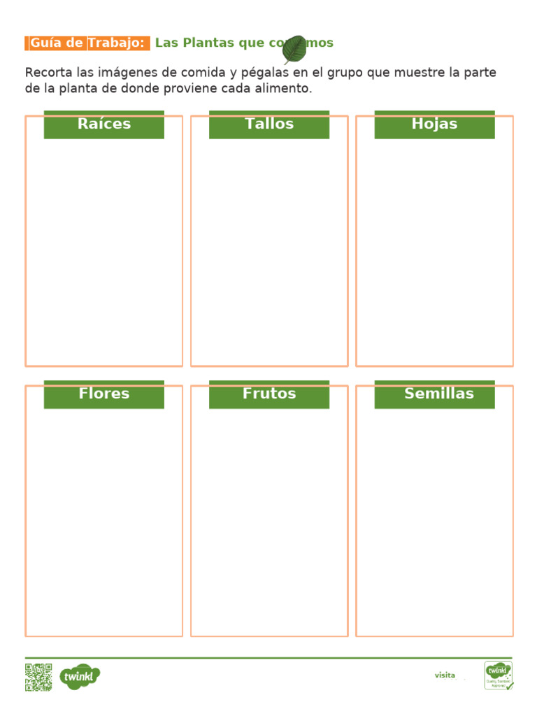 Guía de Trabajo Las Plantas Que Comemos | PDF