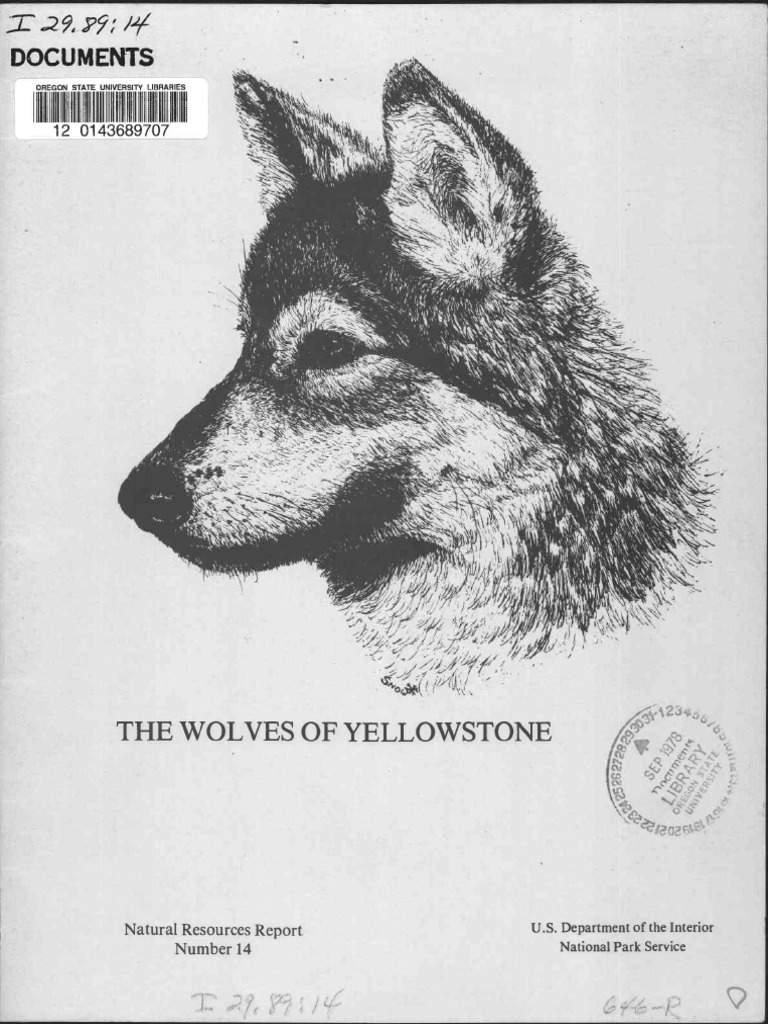 The Wolves of Yelowstone | PDF | Coyote | Yellowstone National Park