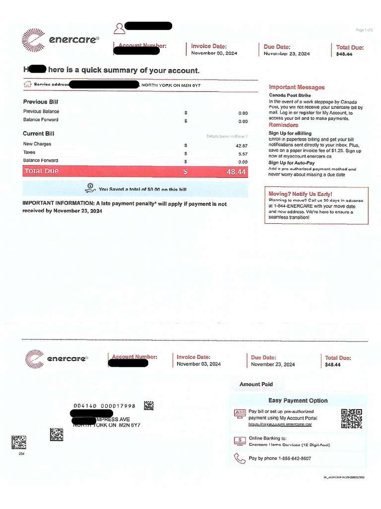 Ener Care Bill Sample | PDF