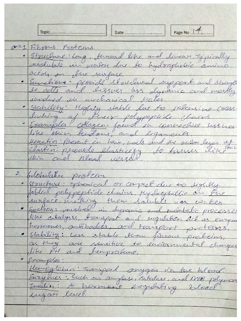 IMG20241120181252 JPG | PDF