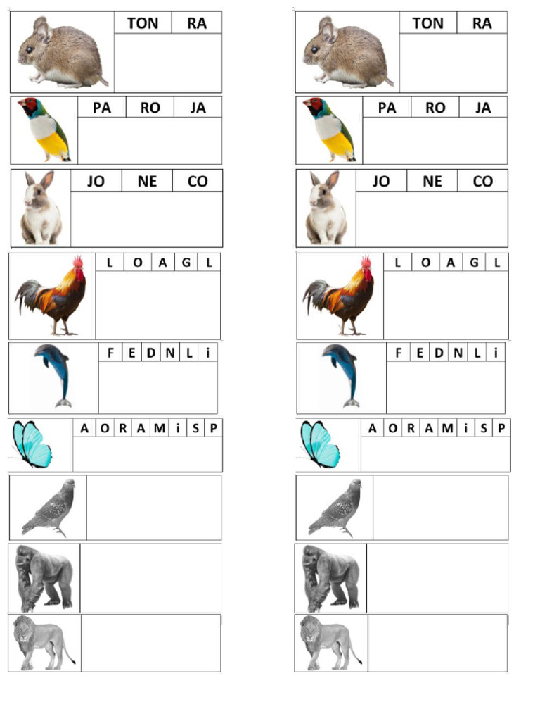 Animales para El Sondeo | PDF