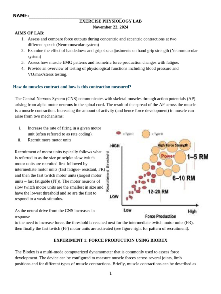 Exercise Physiology Lab | PDF | Blood Pressure | Muscle Contraction