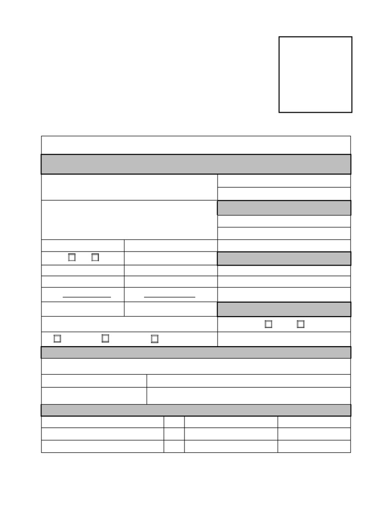 Driver Employment Application Form | PDF