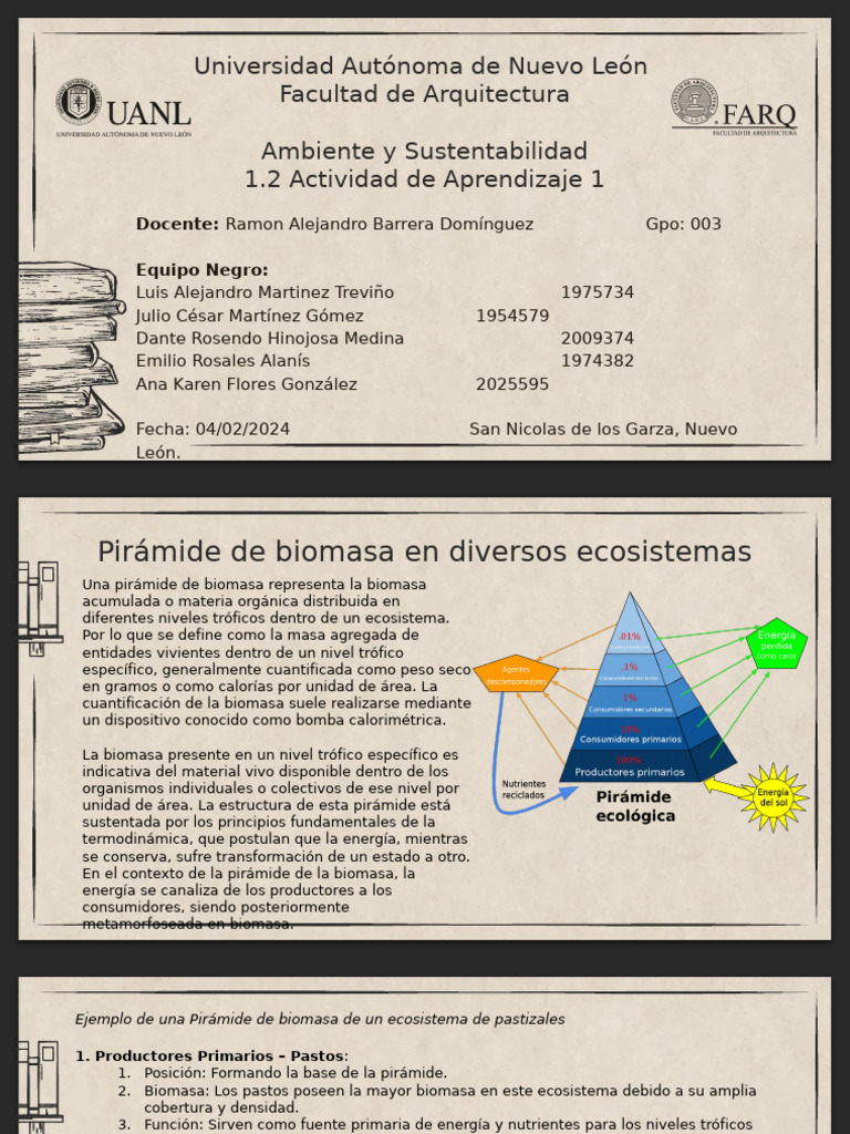Pirámide de Biomasa en Ecosistemas | PDF | Biomasa | Biomasa (Ecología)