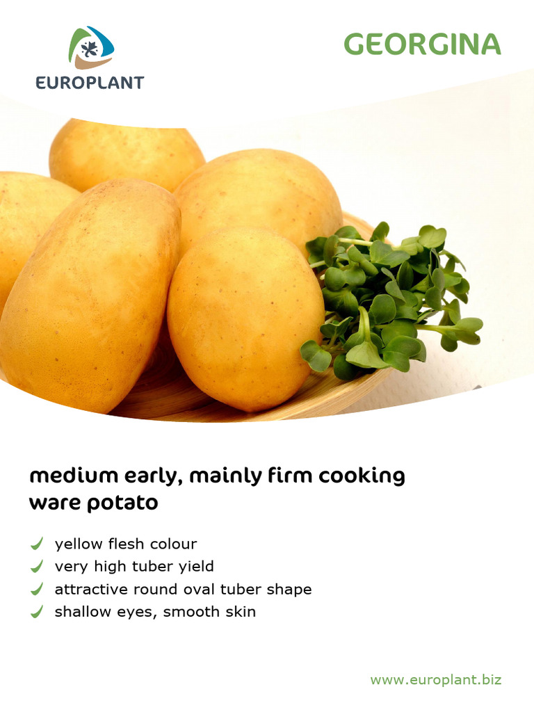 Georgina 3 | PDF | Potato | Seed