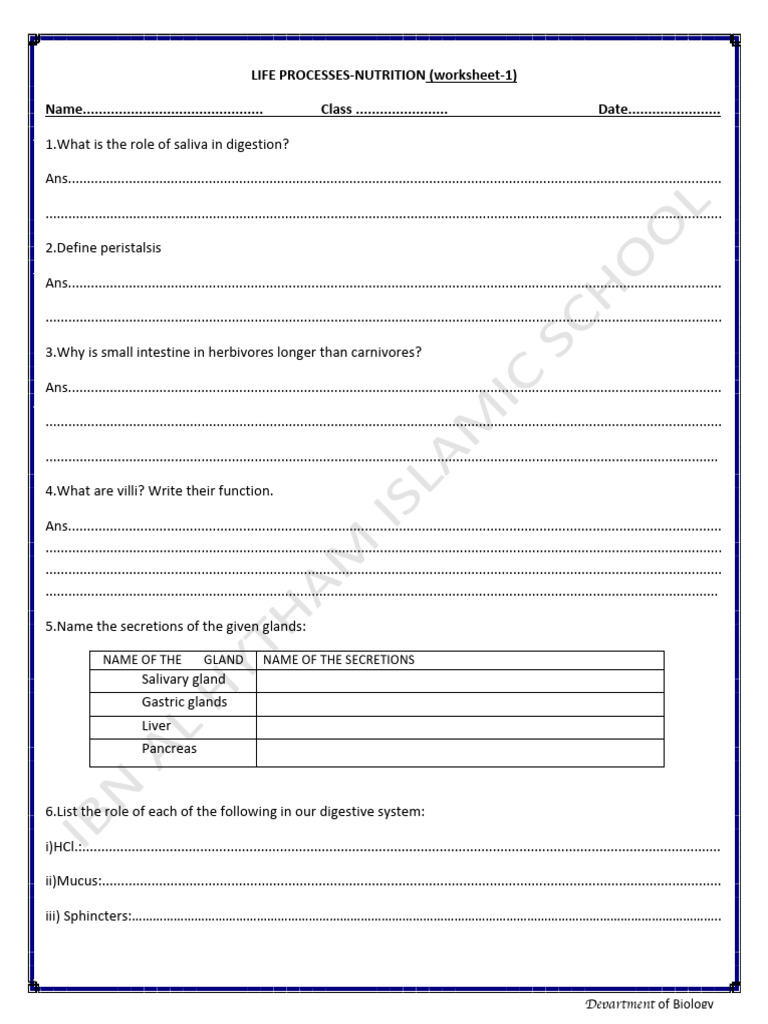 Life Processesworksheet Ibn Al Hytham | PDF | Atrium (Heart) | Kidney