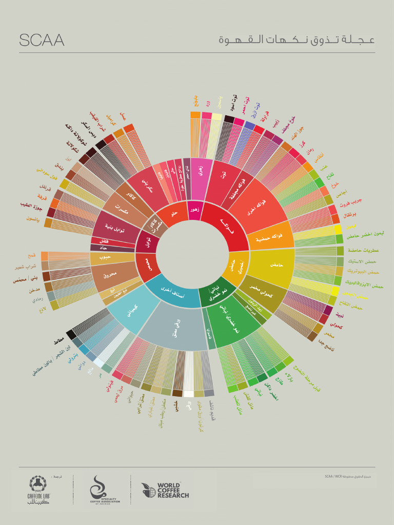 SCAA FlavorWheel Arabic | PDF