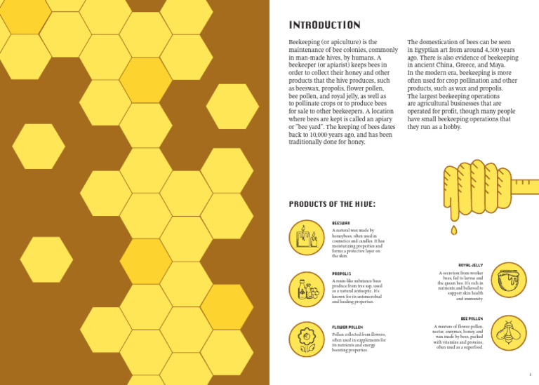 Busy Bees Eh Version (1) (1) (1) - 02-03 | PDF | Beekeeping | Beekeeper