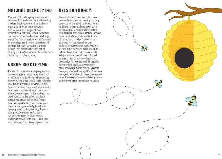 Natural and Urban Beekeeping Insights | PDF | Beekeeping | Honey