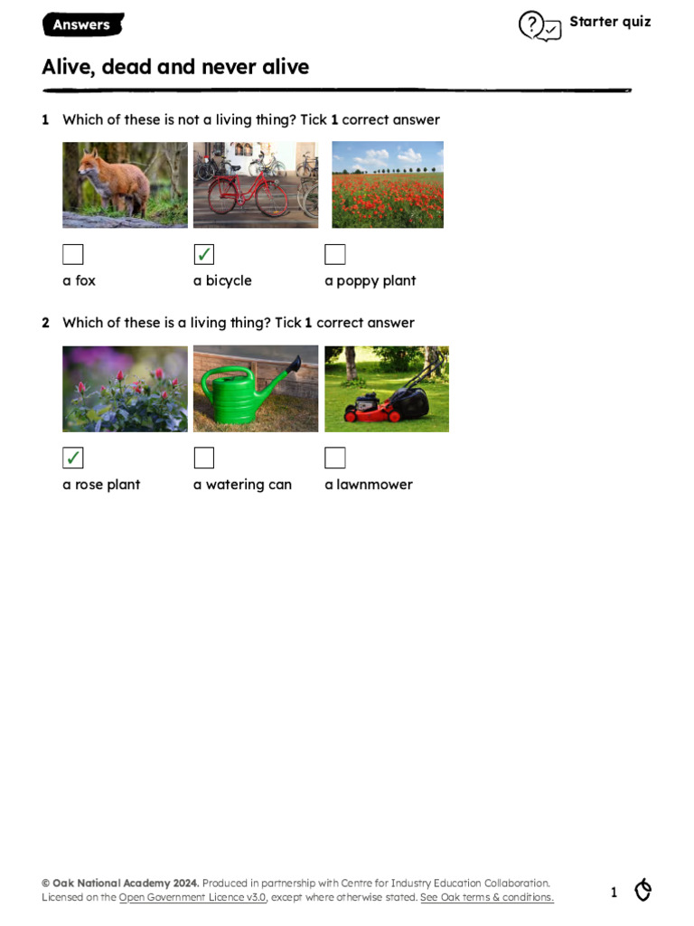 Starter Quiz Answers | PDF