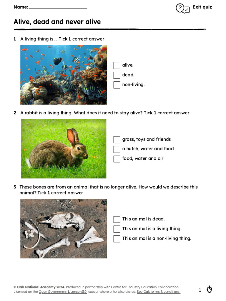 Exit Quiz Questions | PDF | Self-Improvement | Science & Mathematics
