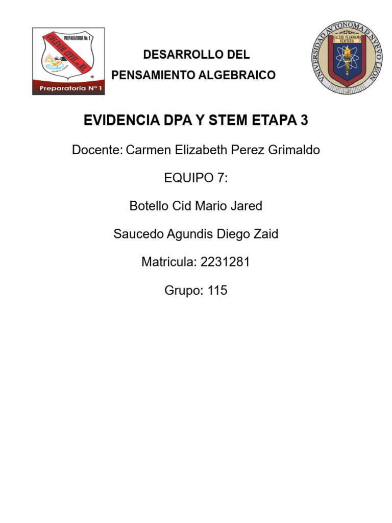 Etapa 3 Dpa y Stem | PDF