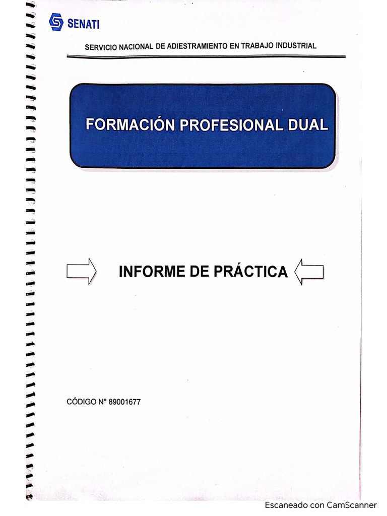 Zidan Entregable | PDF