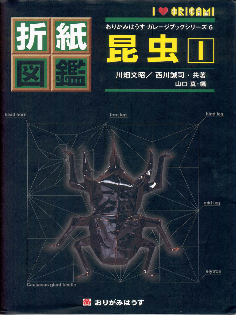 Origami Insect 1 Part 1 | PDF