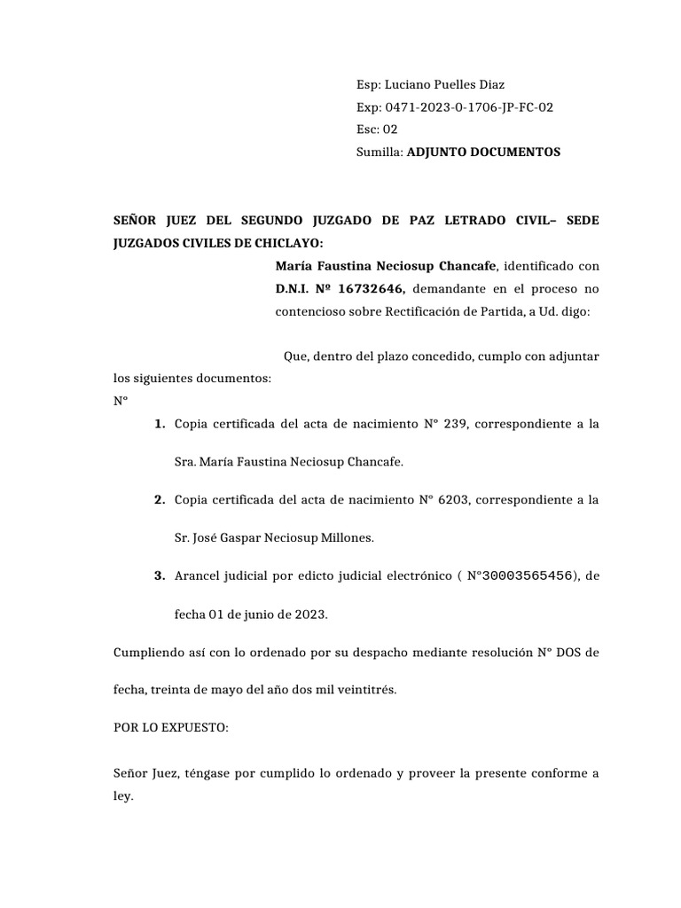 Modelo de Adjunto Documentos | PDF | Derecho