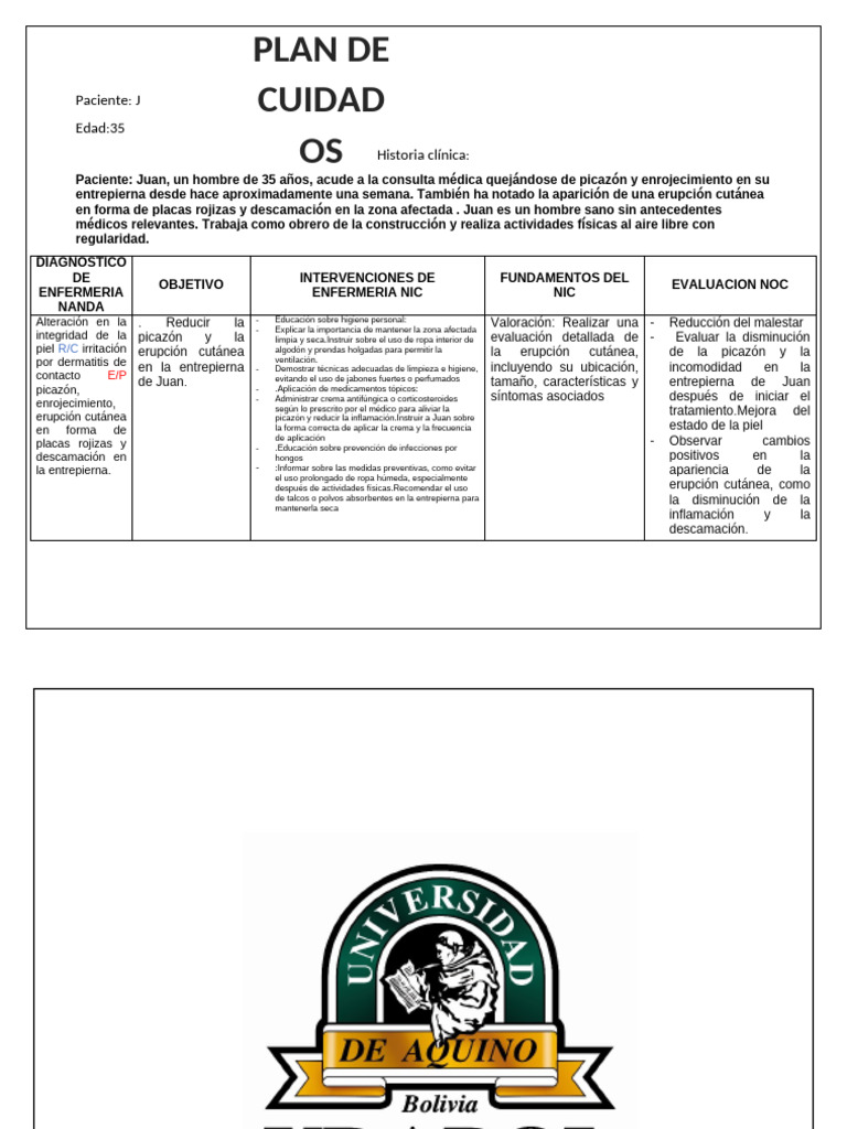Plan Cuidado | PDF | Higiene | Especialidades Medicas