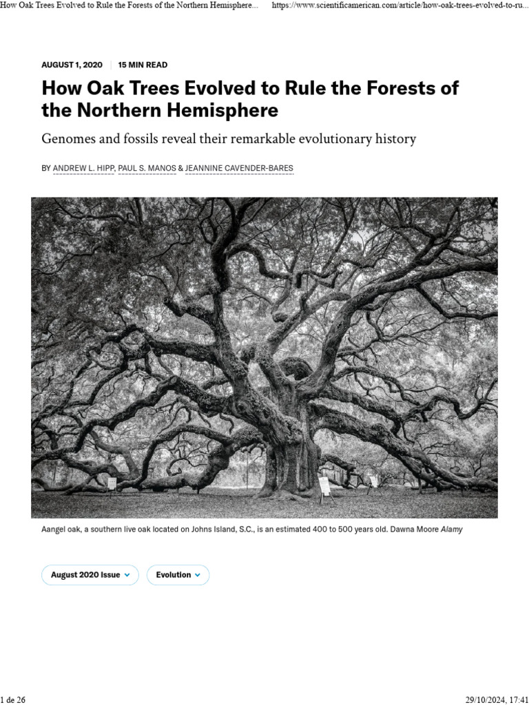 How Oak Trees Evolved To Rule The Forests of The Northern Hemisphere ...