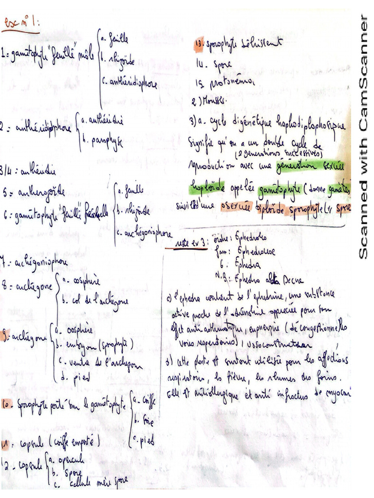 Correction Td4 Botanique | PDF