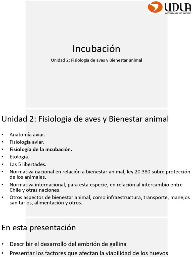 Incubación de Aves | PDF | Huevo | Anatomía