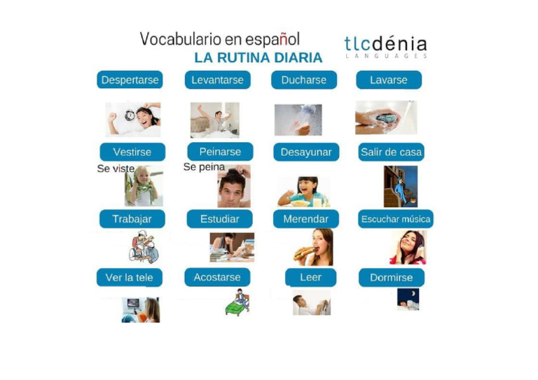 Vocabulario Verbos Rutina | PDF