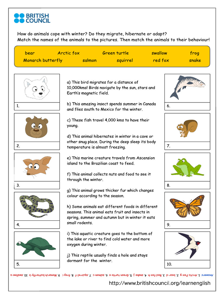 Seasons and Animals | PDF