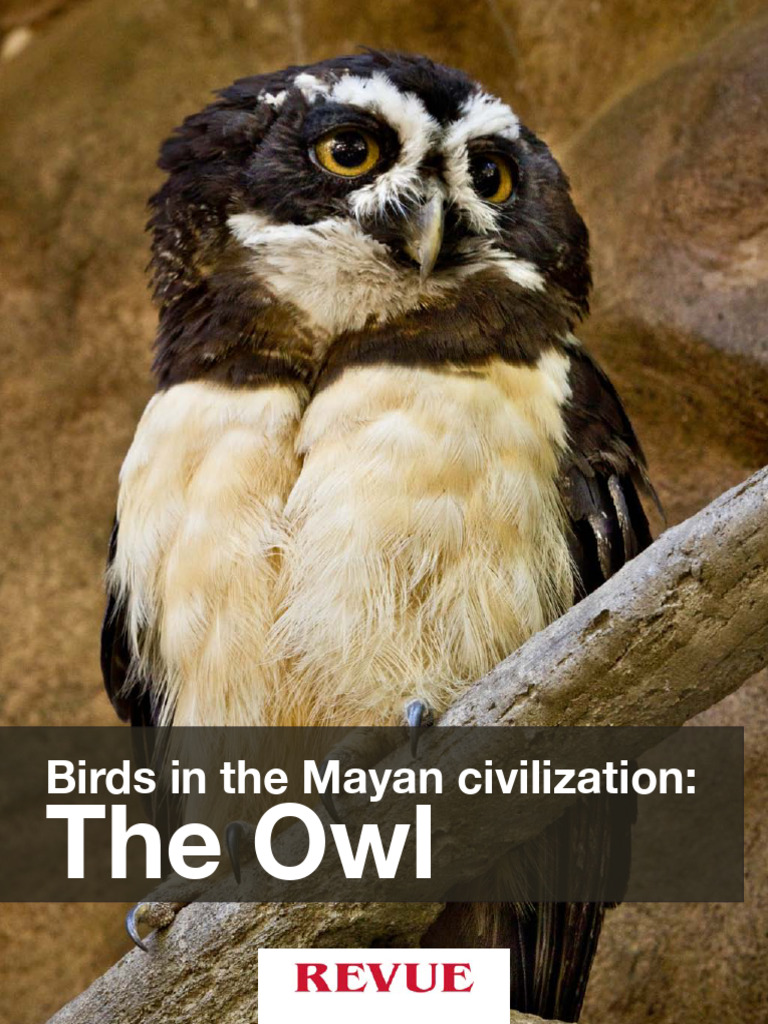 Mayan Mythology: The Sacred Owl | PDF