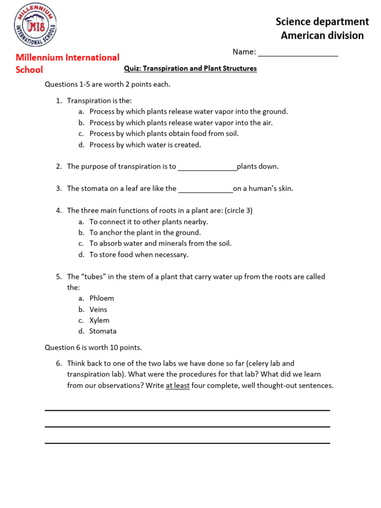 G5 TranspirationandPlantStructuresQuiz-1 | PDF | Home & Garden ...