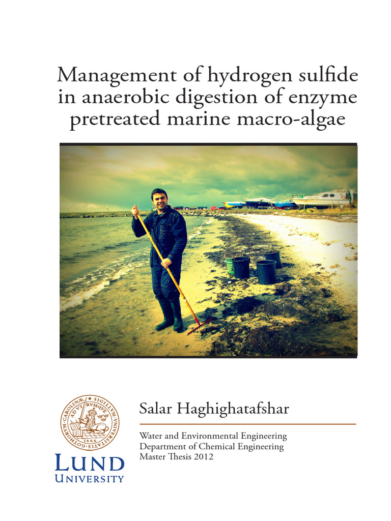 Management of Hydrogen Sulfide in Anaerobic Digestion of Enzyme ...