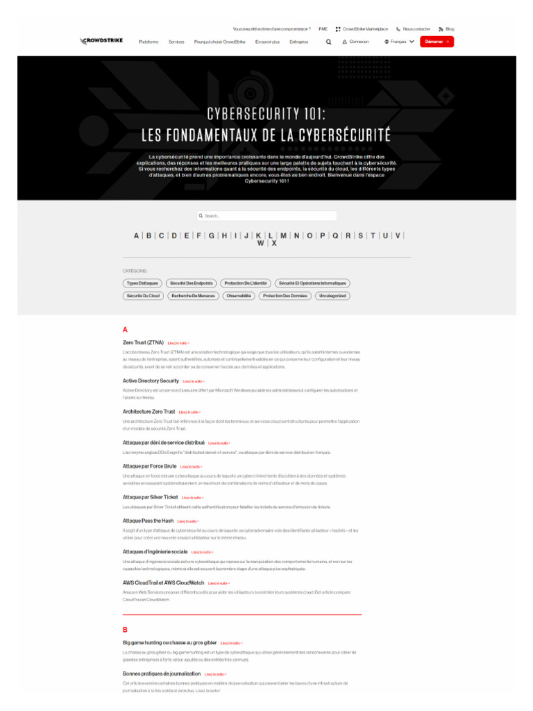 Crowdstrike Cybersecurity | PDF