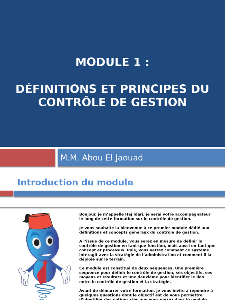 Controle - Gestion Version E-Learning | PDF | Planification | Audit