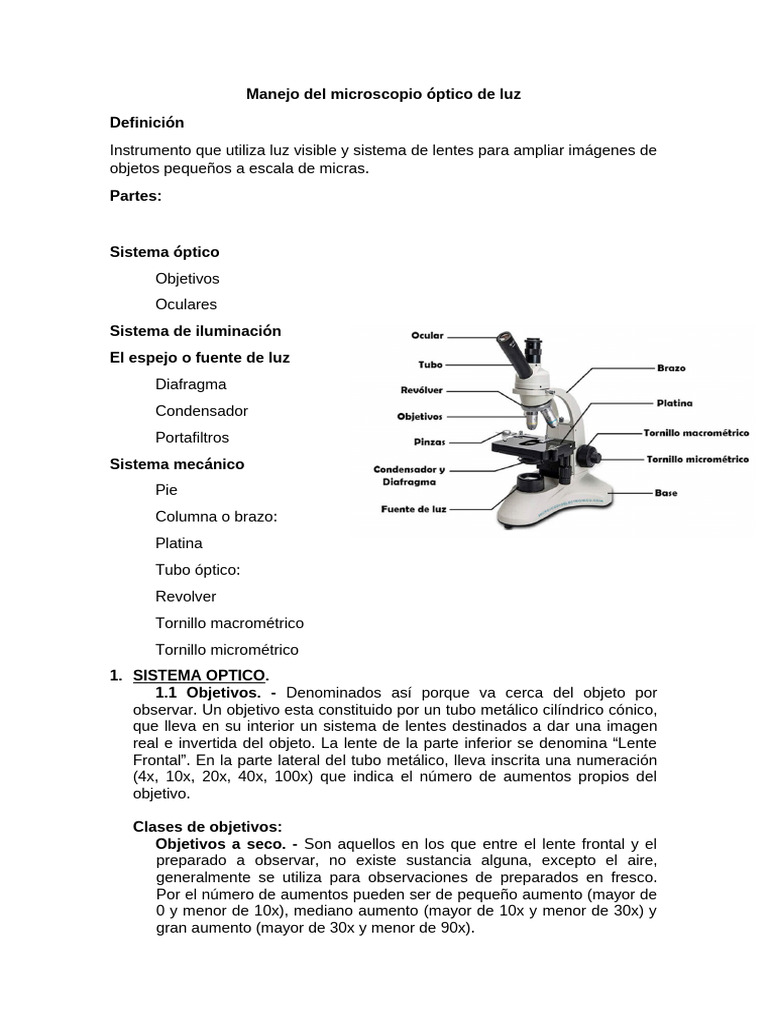 Tarea - Microscopio Optico de Luz | PDF | Óptica | Microscopio