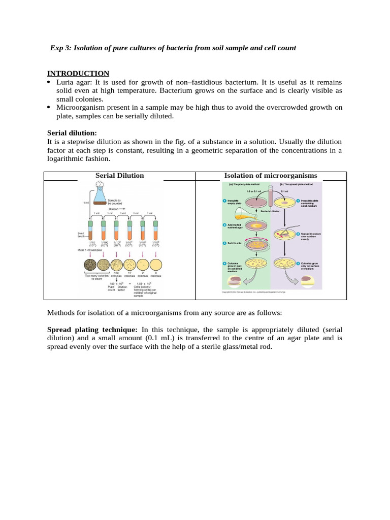 Exp 3 | PDF | Microbiology | Biology