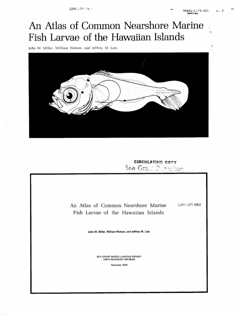 Atlas Marine Larval Fish | PDF | Anatomical Terms Of Location | Fish
