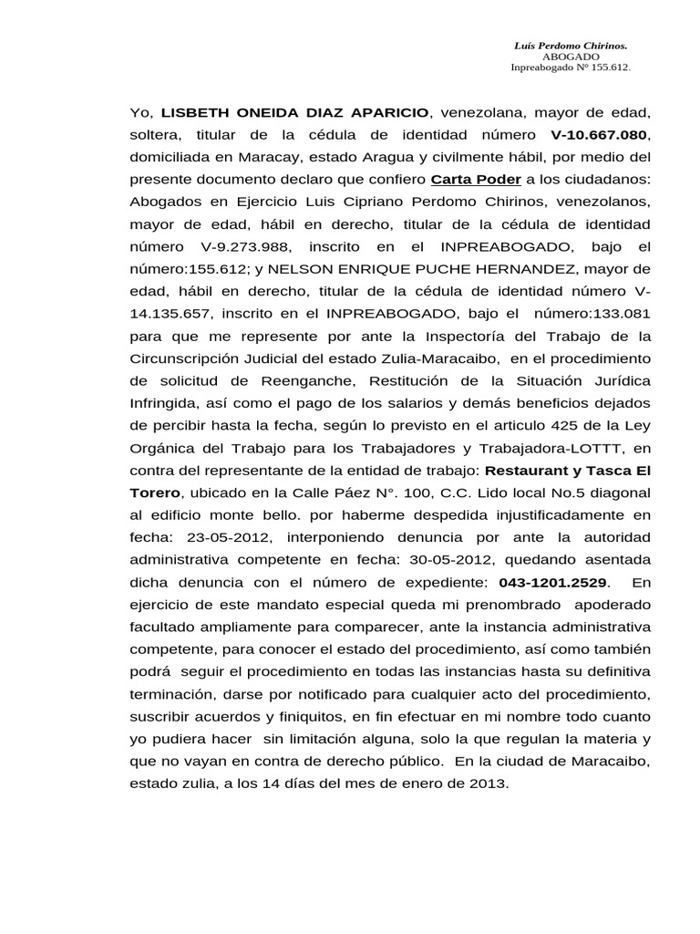 Carta Poder de Lisbeth Diaz Inspectoria Del Trabajo | PDF | Documento de identidad | Gobierno