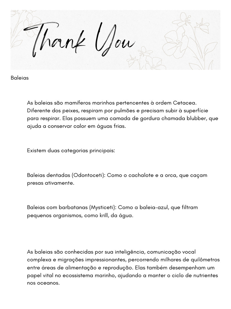 Thank You Letter Doc in Black and White Simple Elegant Style - 20241125 ...