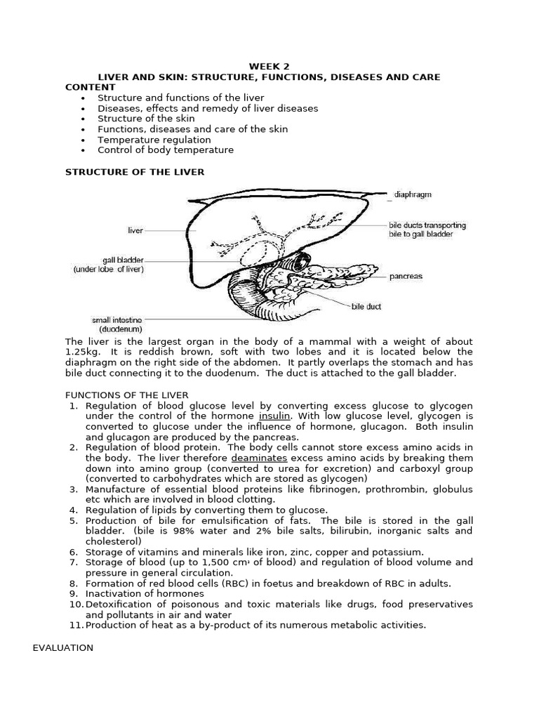 D GVTC GZPB GUu ZG9 Je A | PDF | Liver | Skin