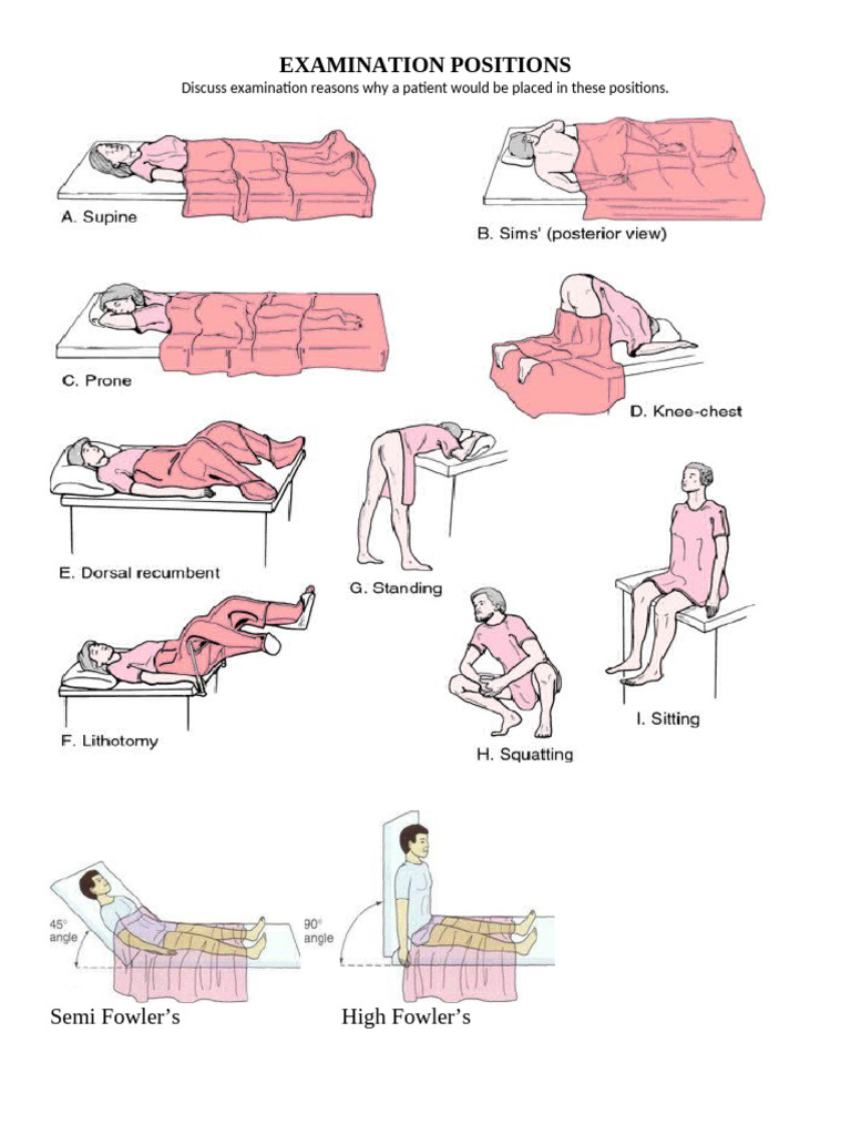 Examination Positions Worksheet | PDF