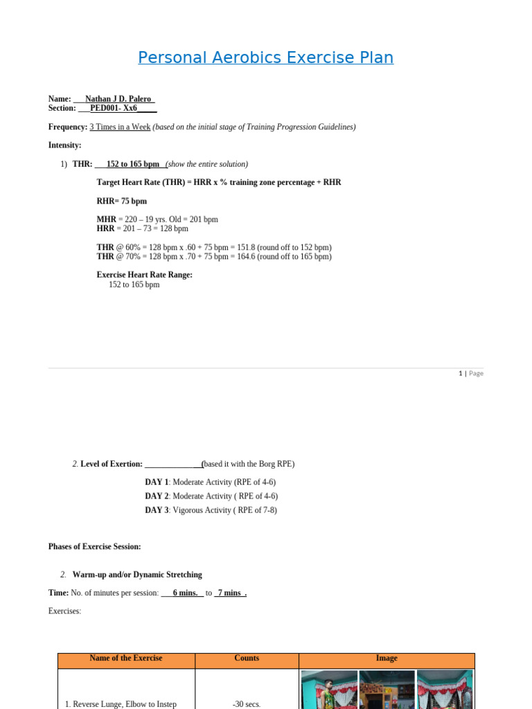 2021 Personal Aerobics Exercise Plan - PALERO | PDF | Heart Rate ...