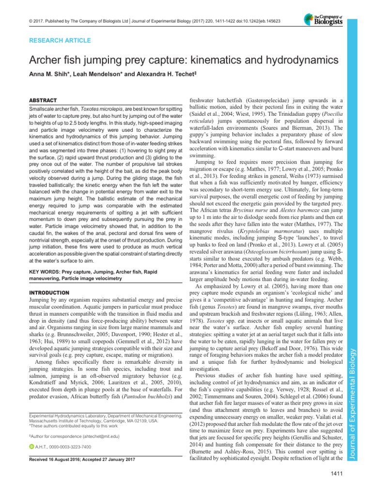 Archer Fish Jumping Prey Capture | PDF | Predation | Camera